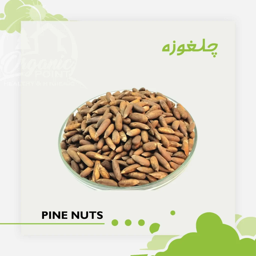 Chilgoza / Pine Nut | Organic Point