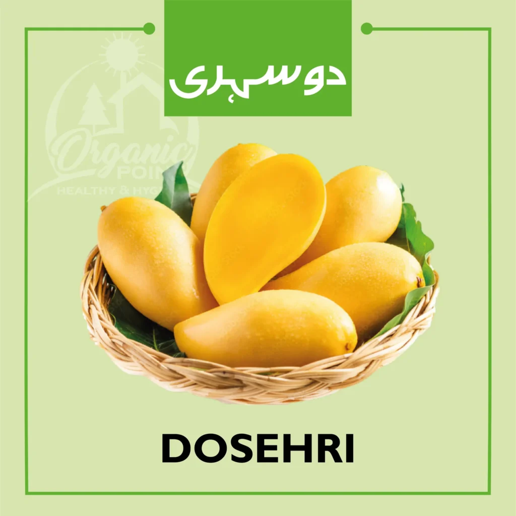Dosehri Mango | Buy Online