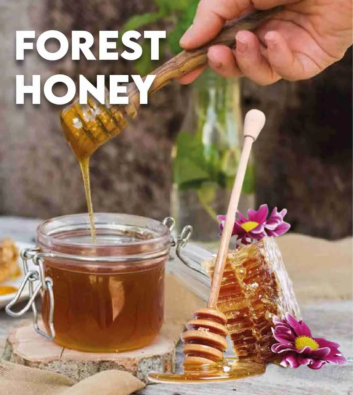 Pure Forest Honey | Organic Point